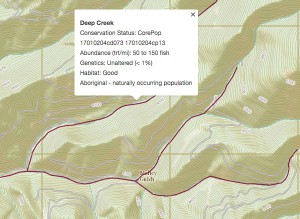 Westslope Cutthroat Trout Range Maps – Wild Trout Streams