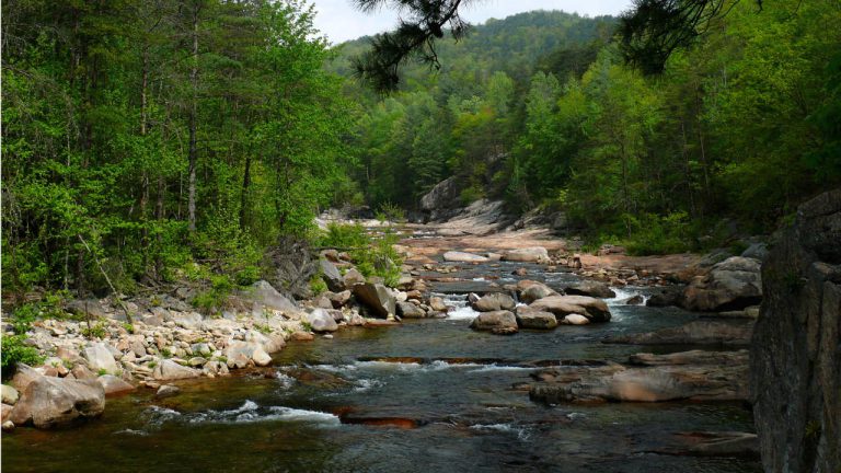 NC Overview – Wild Trout Streams